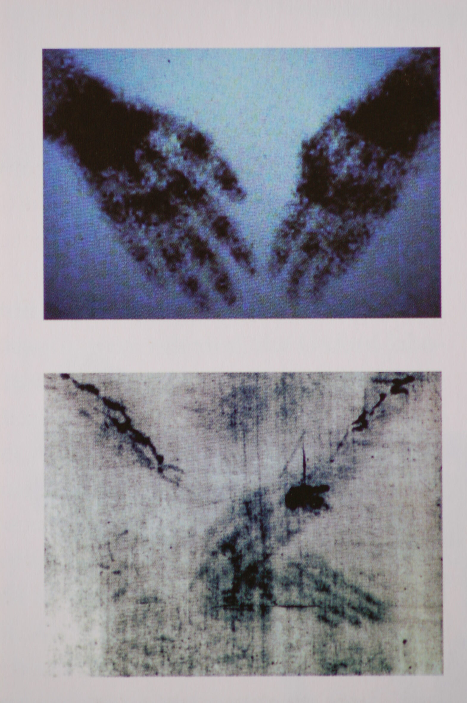 Image Qualities of the Shroud of Turin – Shroud3d