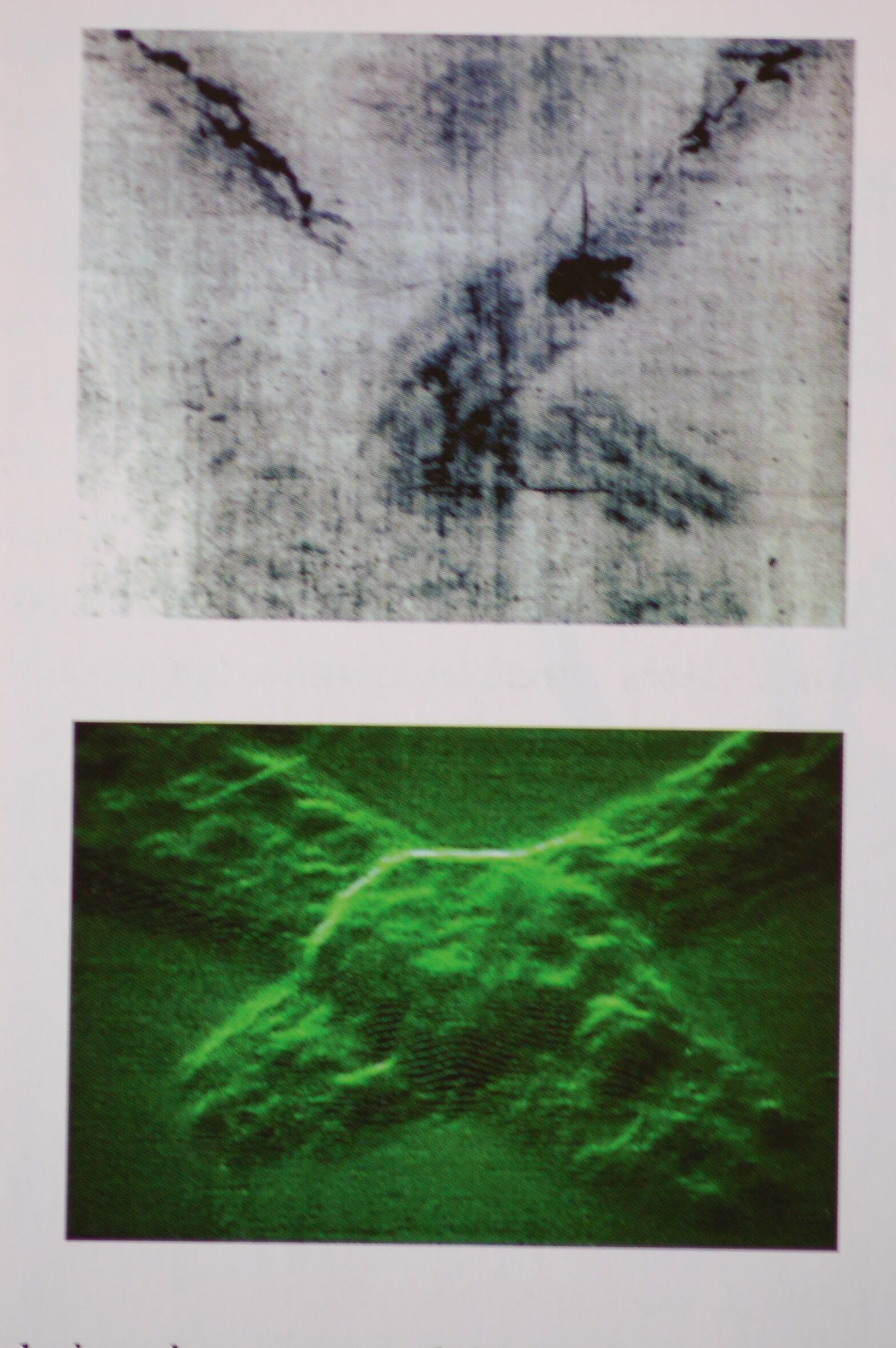 Image Qualities of the Shroud of Turin – Shroud3d