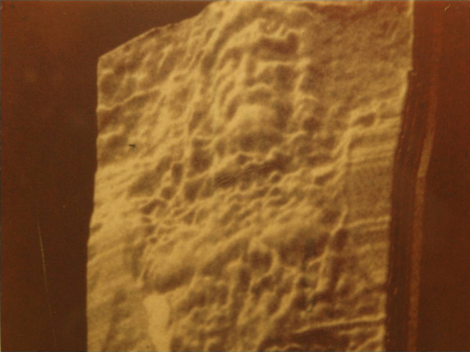 VP-8 Image Analyzer and Set-up Research 3D Materials – Shroud3d