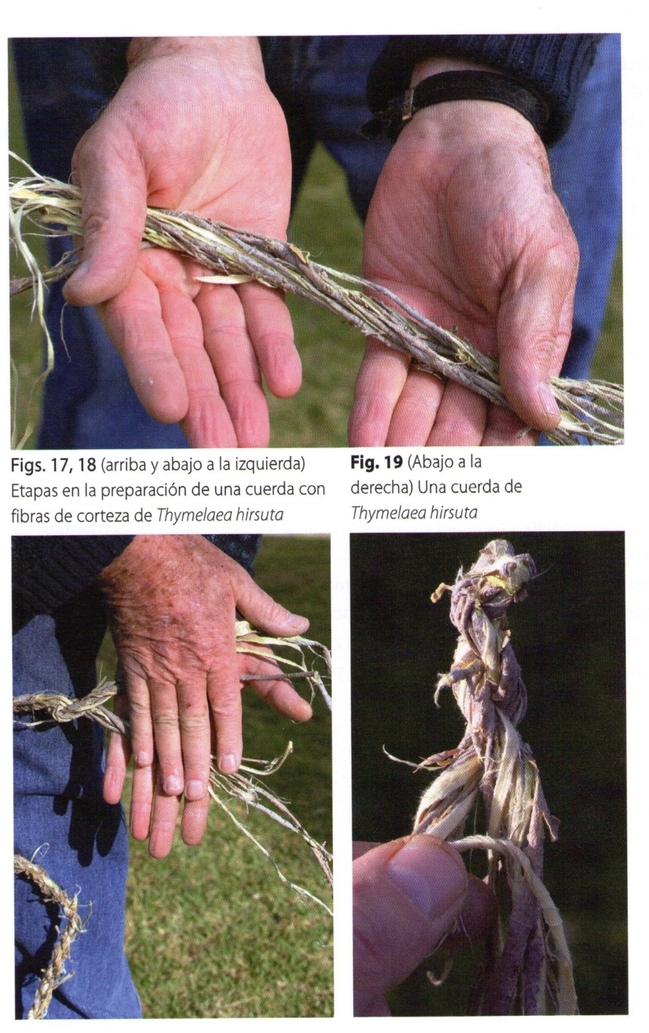 Cords and Ropes on Shroud – Shroud3d