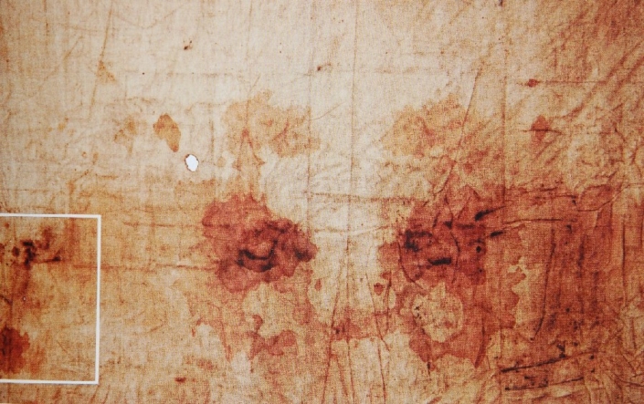 Sudarium of Oviedo Janice Bennet – Shroud3d